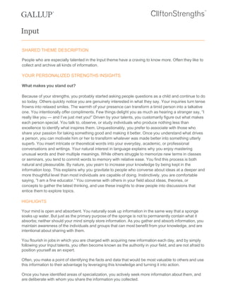 Strengths Based Insight Report | PDF | Career Advice | Careers