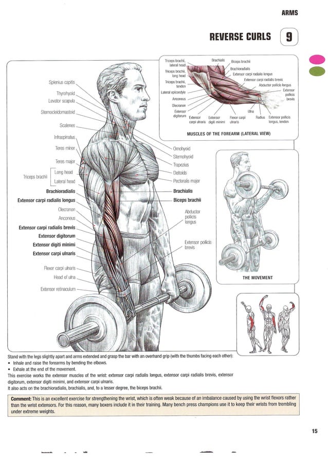 Strength Training Anatomy 2nd Edition | PDF