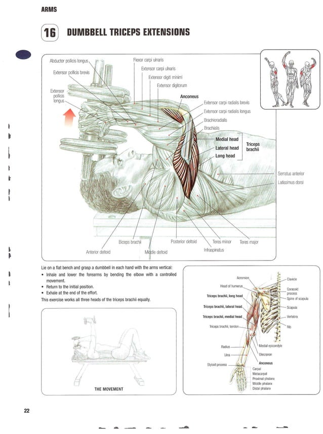 Strength Training Anatomy 2nd Edition | PDF