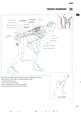 Strength Training Anatomy 2nd Edition | PDF