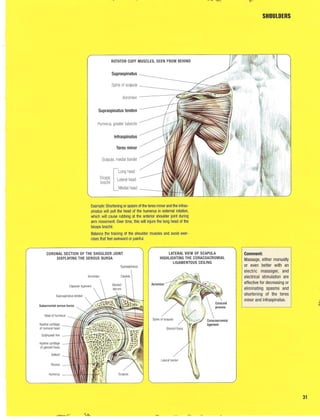Strength Training Anatomy 2nd Edition | PDF