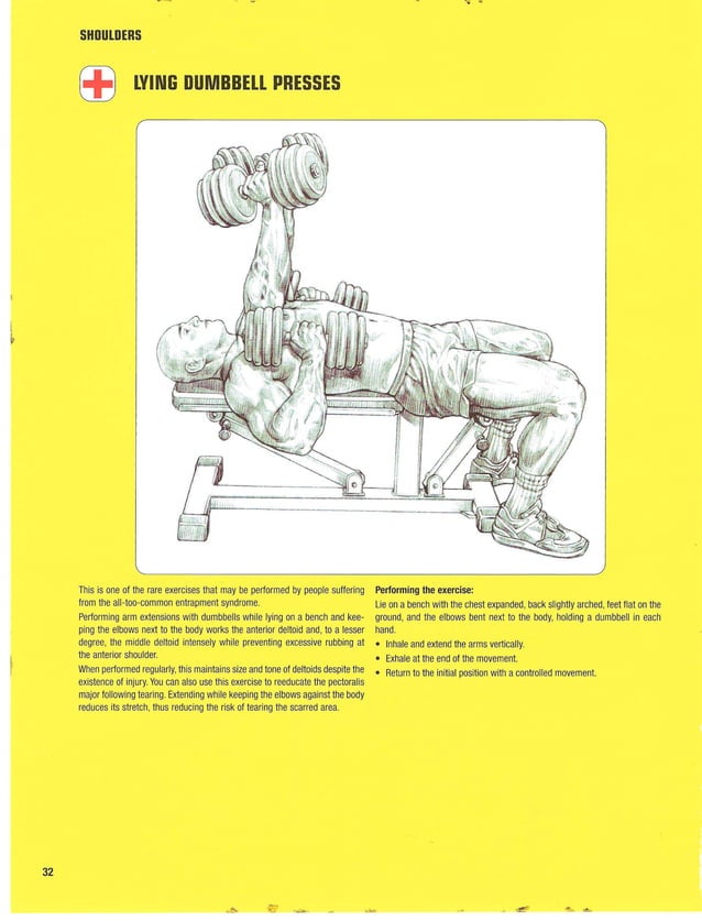 Strength Training Anatomy 2nd Edition | PDF