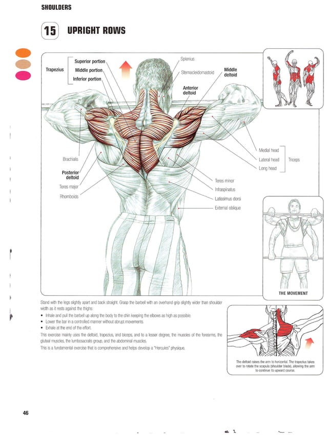 Strength Training Anatomy 2nd Edition | PDF