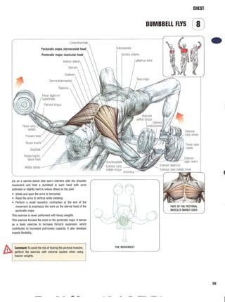 Strength Training Anatomy 2nd Edition | PDF