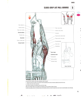 Strength Training Anatomy 2nd Edition | PDF