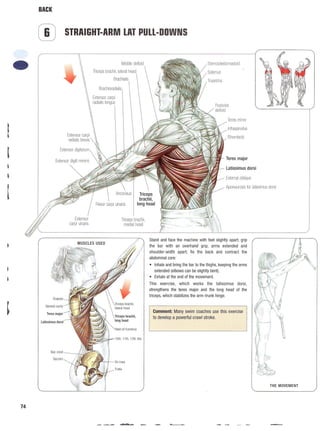 Strength Training Anatomy 2nd Edition | PDF