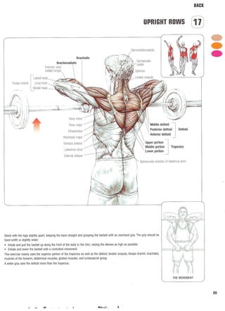 Strength Training Anatomy 2nd Edition | PDF