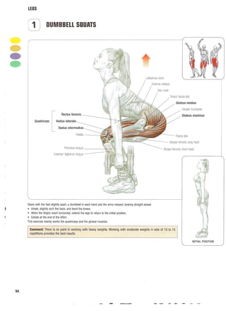 Strength Training Anatomy 2nd Edition | PDF