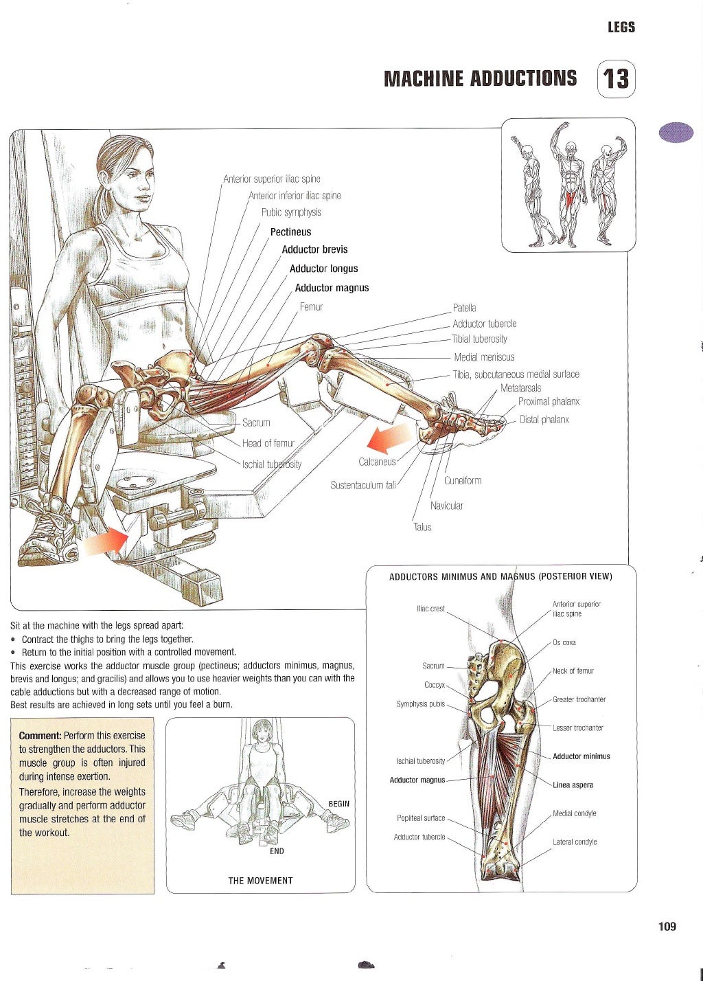 Strength Training Anatomy 2nd Edition strength-training-anatomy-2nd-edition