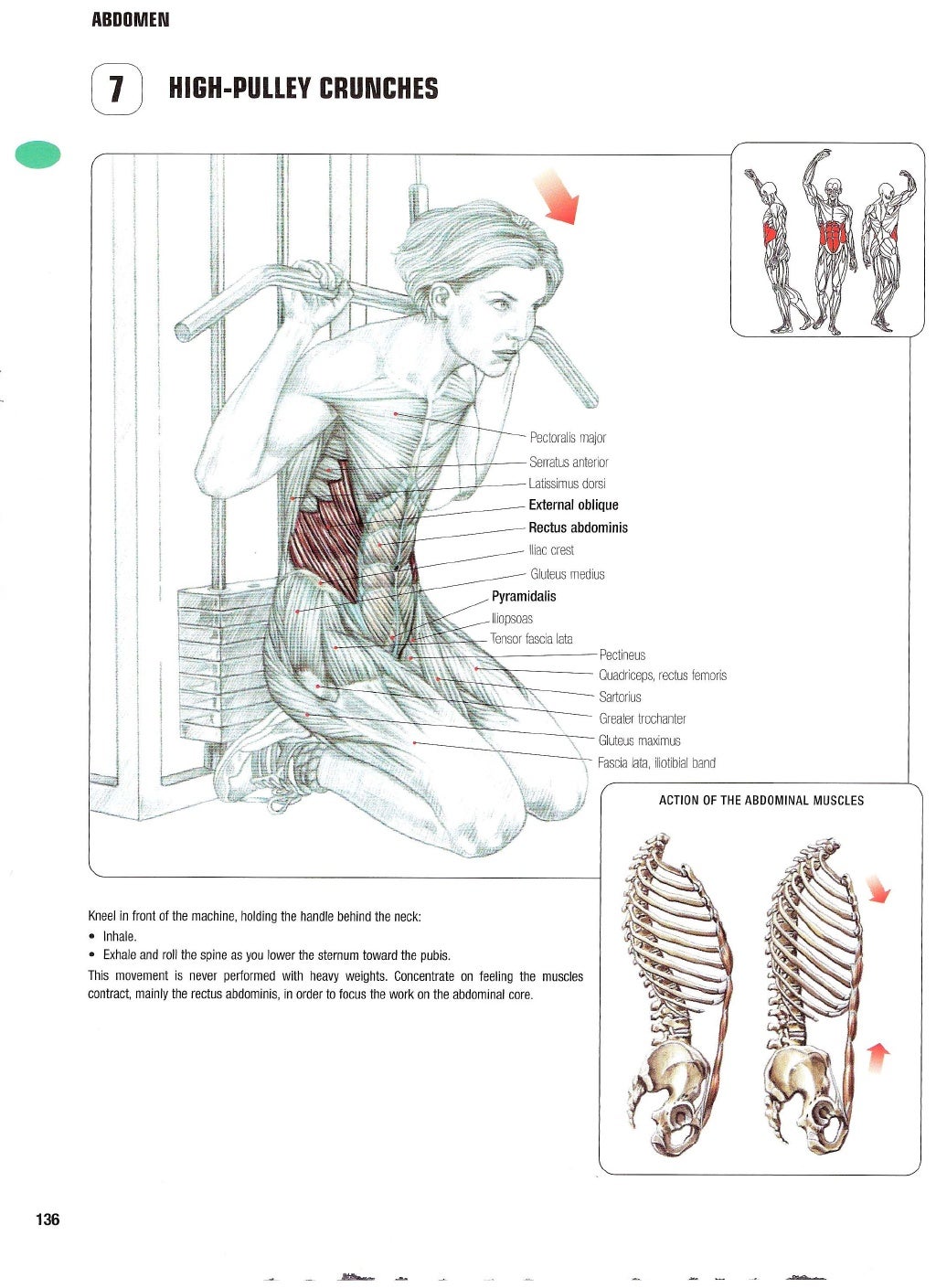 Strength Training Anatomy 2nd Edition Strength Training Anatomy 2nd Edition