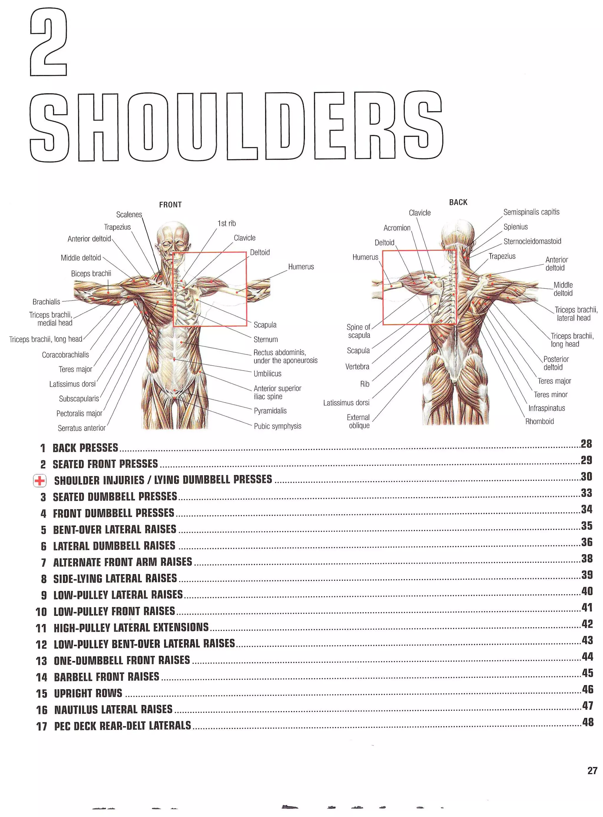 Strength training anatomy 2nd edition | PDF