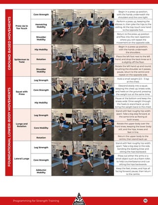 Strength Training Protocols.pdf