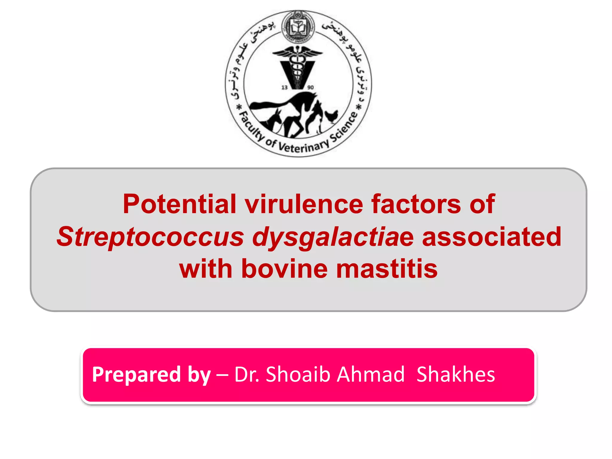 Potential virulence factors of Streptococcus dysgalactiae associated ...