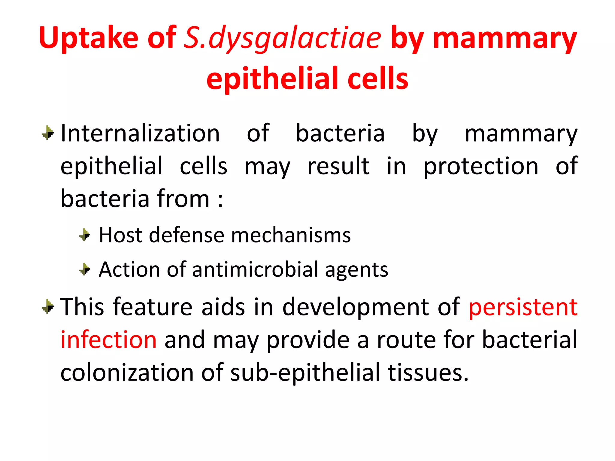 Potential virulence factors of Streptococcus dysgalactiae associated ...