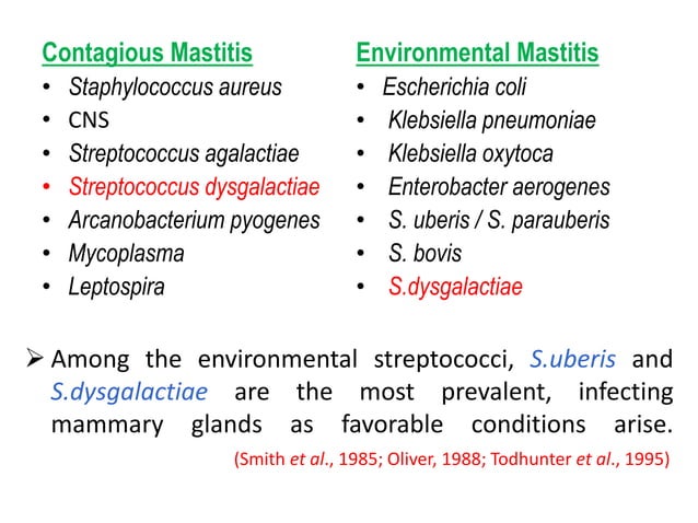Potential virulence factors of Streptococcus dysgalactiae associated ...