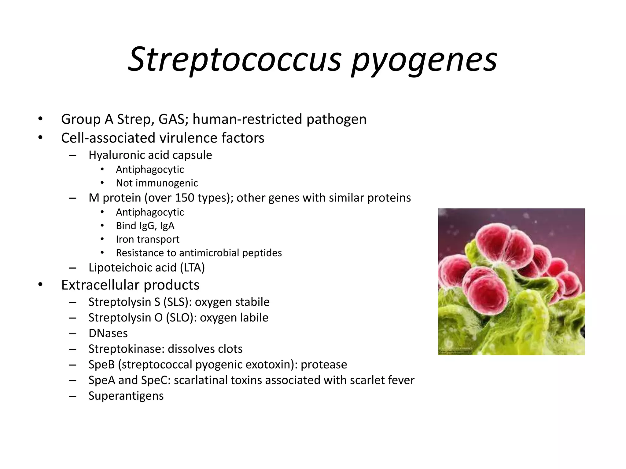 Strep-and-Enterococci-Dr-Love-9.26.13.ppt