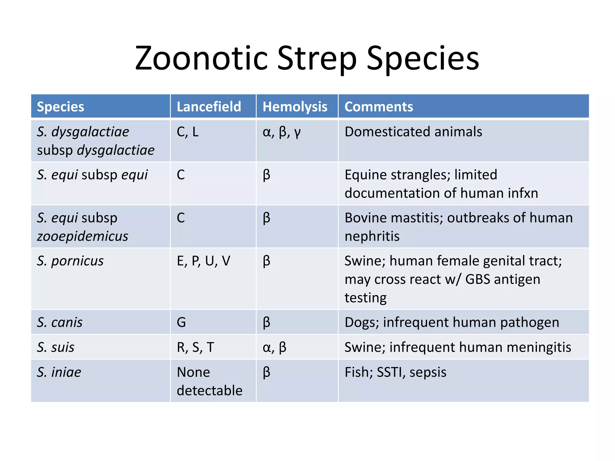 Strep-and-Enterococci-Dr-Love-9.26.13.ppt