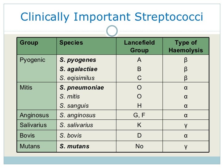Strep pneumoniae