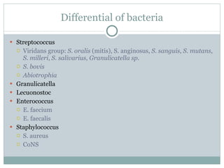 Strep Salivarius | PPT