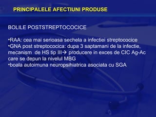 Streptococ | PPT