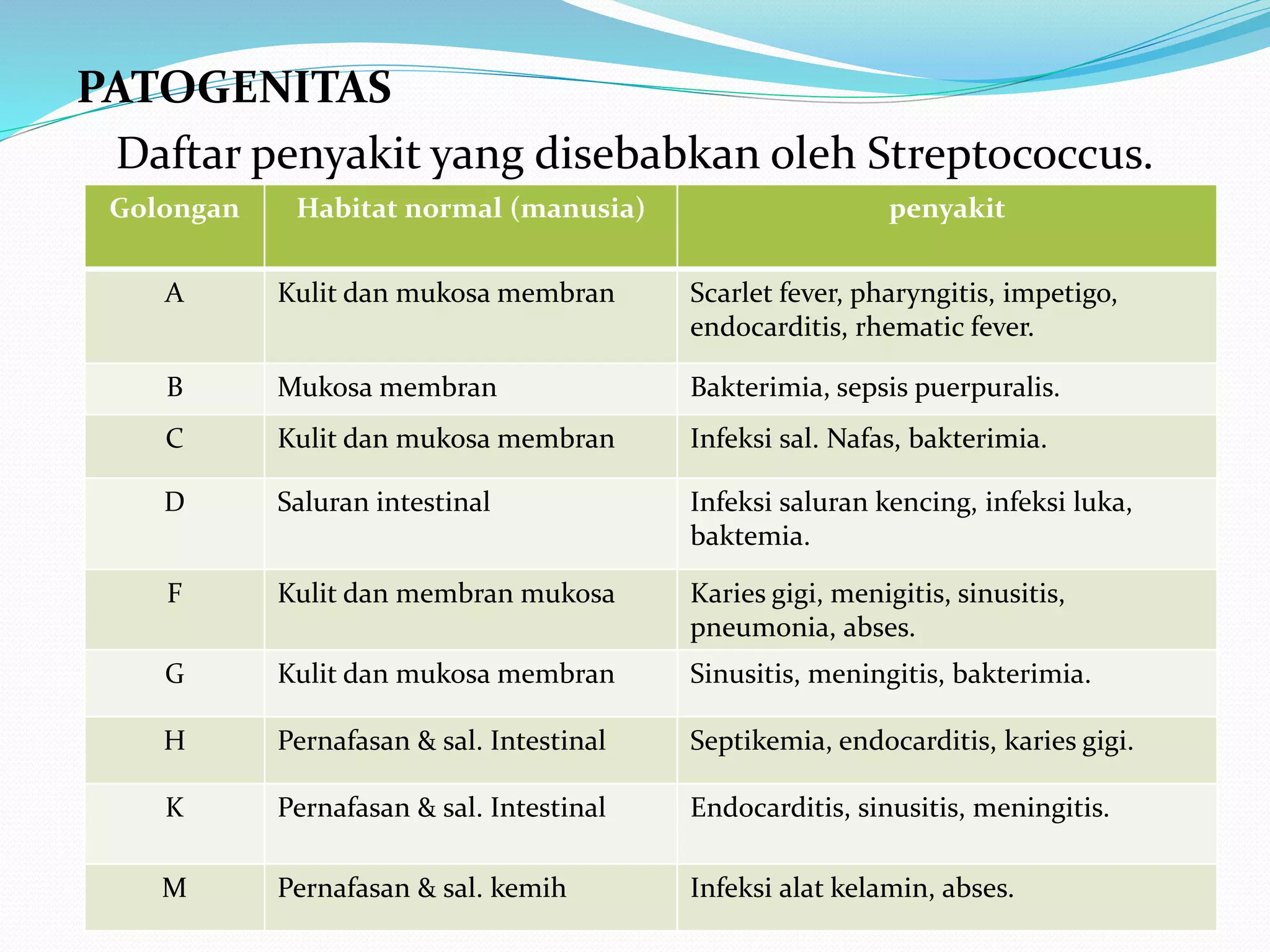 STREPTOCOCCACEAE, 3 - 3.pptx