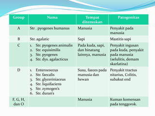 STREPTOCOCCACEAE, 3 - 3.pptx