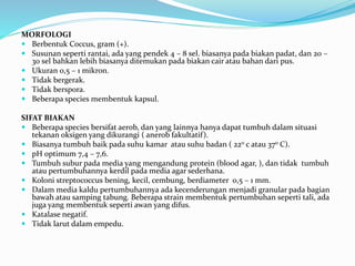 STREPTOCOCCACEAE, 3 - 3.pptx