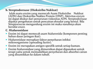 STREPTOCOCCACEAE, 3 - 3.pptx