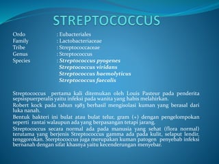 STREPTOCOCCACEAE, 3 - 3.pptx