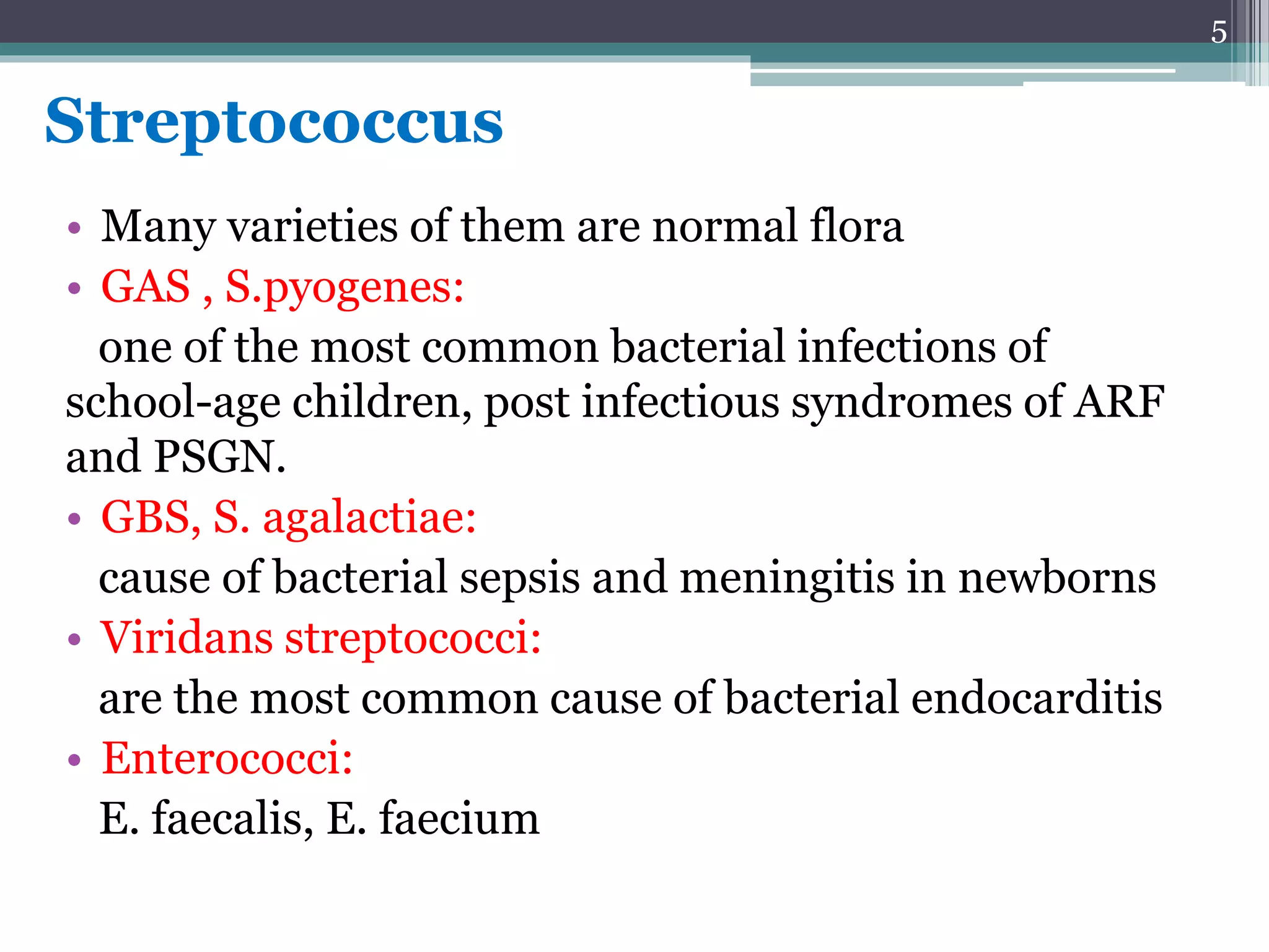 Streptococcal infections | PPSX
