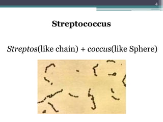 Streptococcal infections | PPSX
