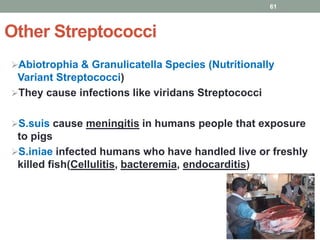 Streptococcal infections | PPSX
