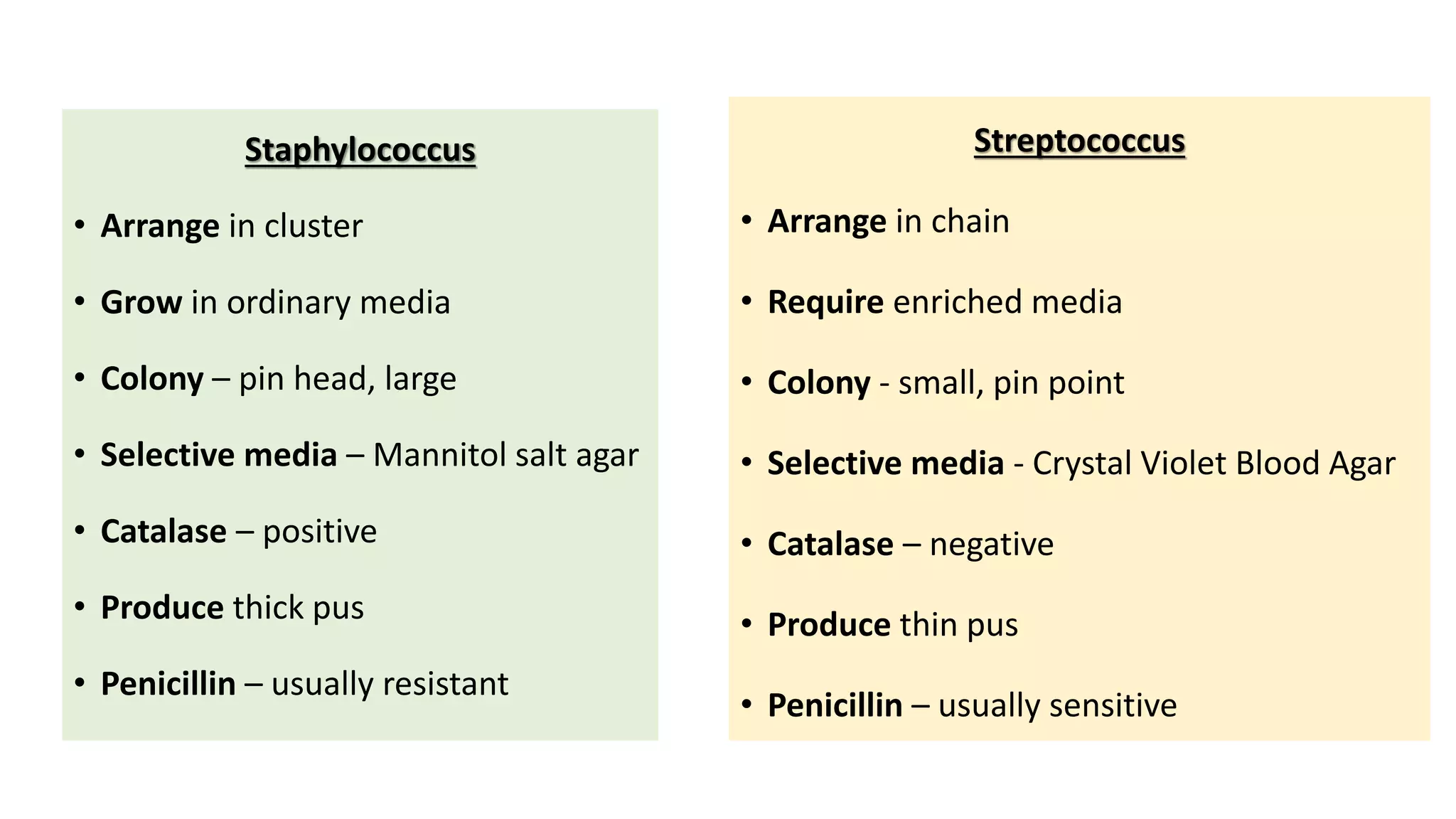 Streptococci | PPTX