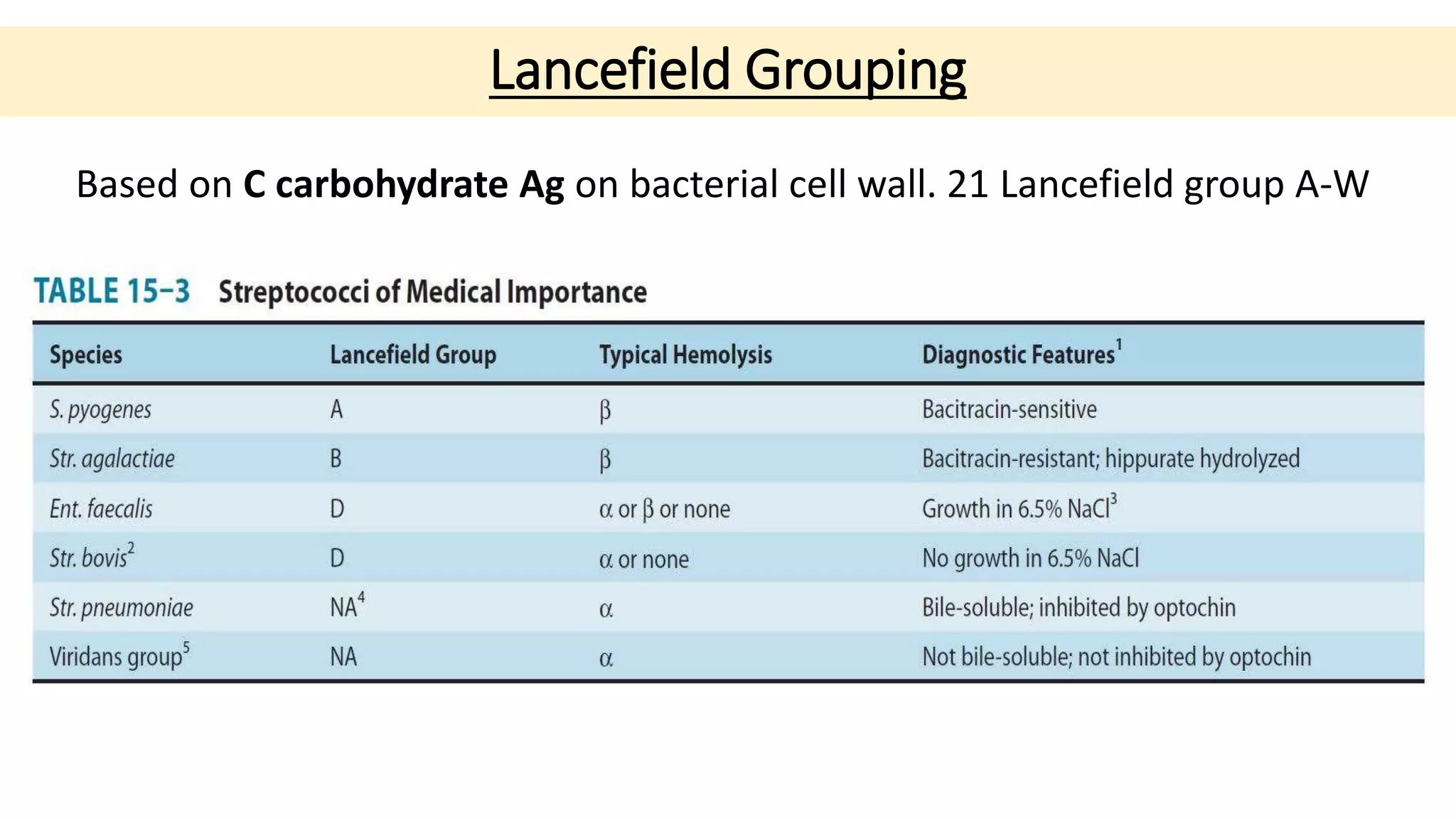Streptococci | PPTX