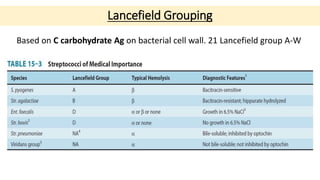 Streptococci | PPTX