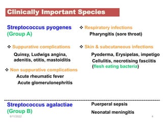 Streptococci.pptx