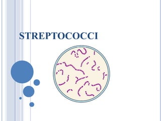 Streptococci.pdf