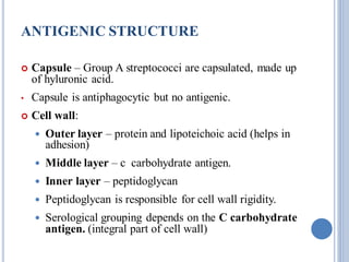 Streptococci.pdf