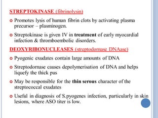 Streptococci.pdf