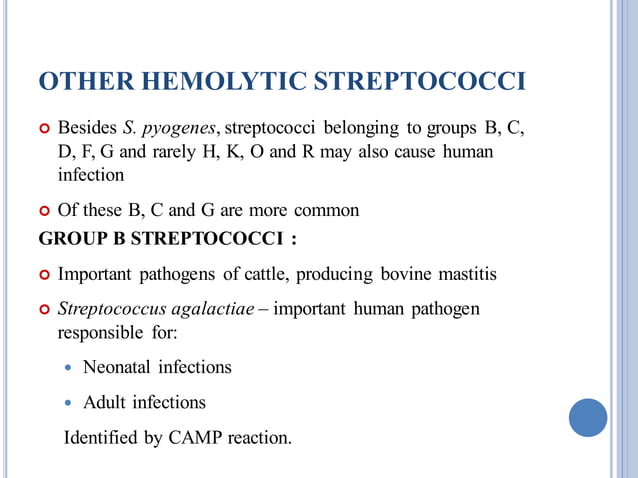 Streptococci.pdf