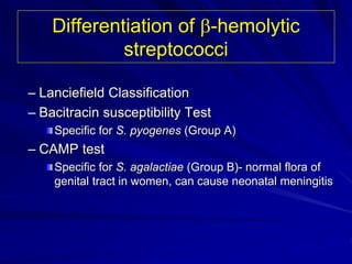 Streptococci.ppt