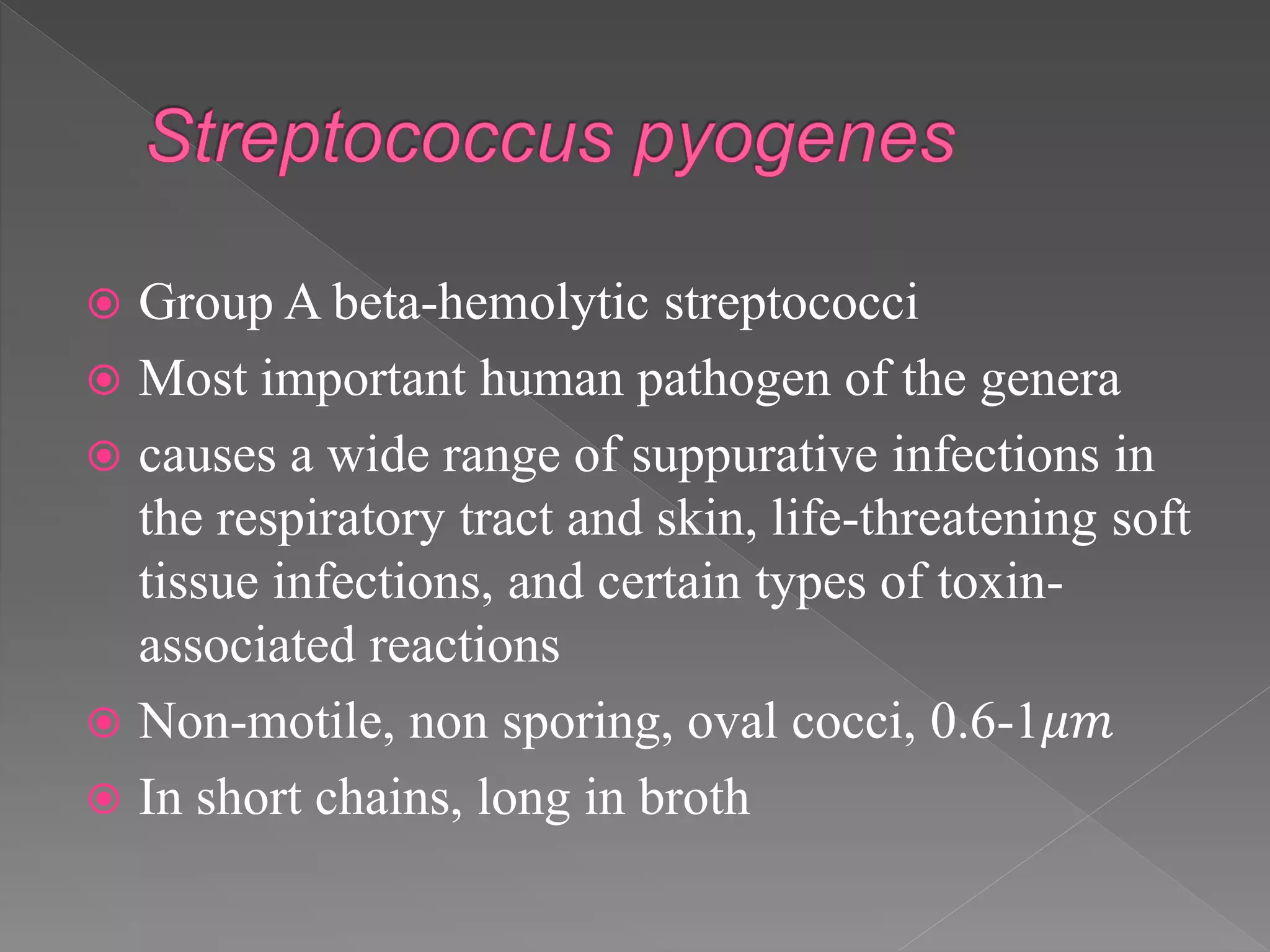 Streptococcus pyogens | PPTX