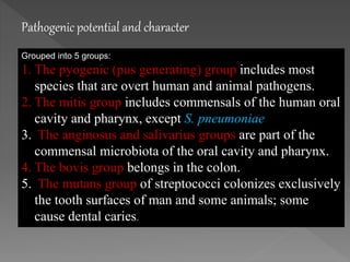 Streptococcus pyogens | PPTX