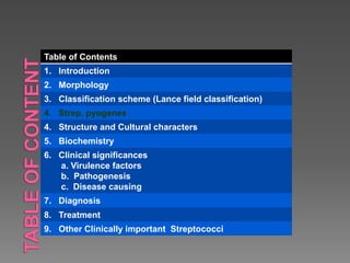 Streptococcus pyogens | PPTX