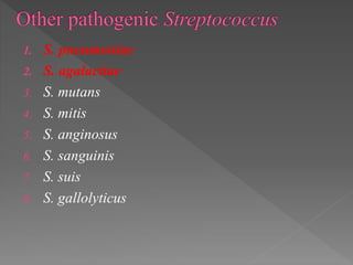 Streptococcus pyogens | PPTX