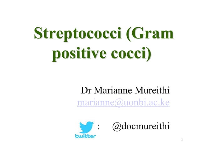 Streptococci In medical microbiology and health | PPT