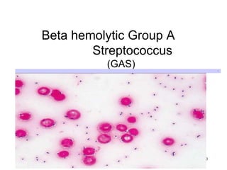 Streptococci In medical microbiology and health | PPT