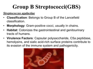 Streptococci In medical microbiology and health | PPT