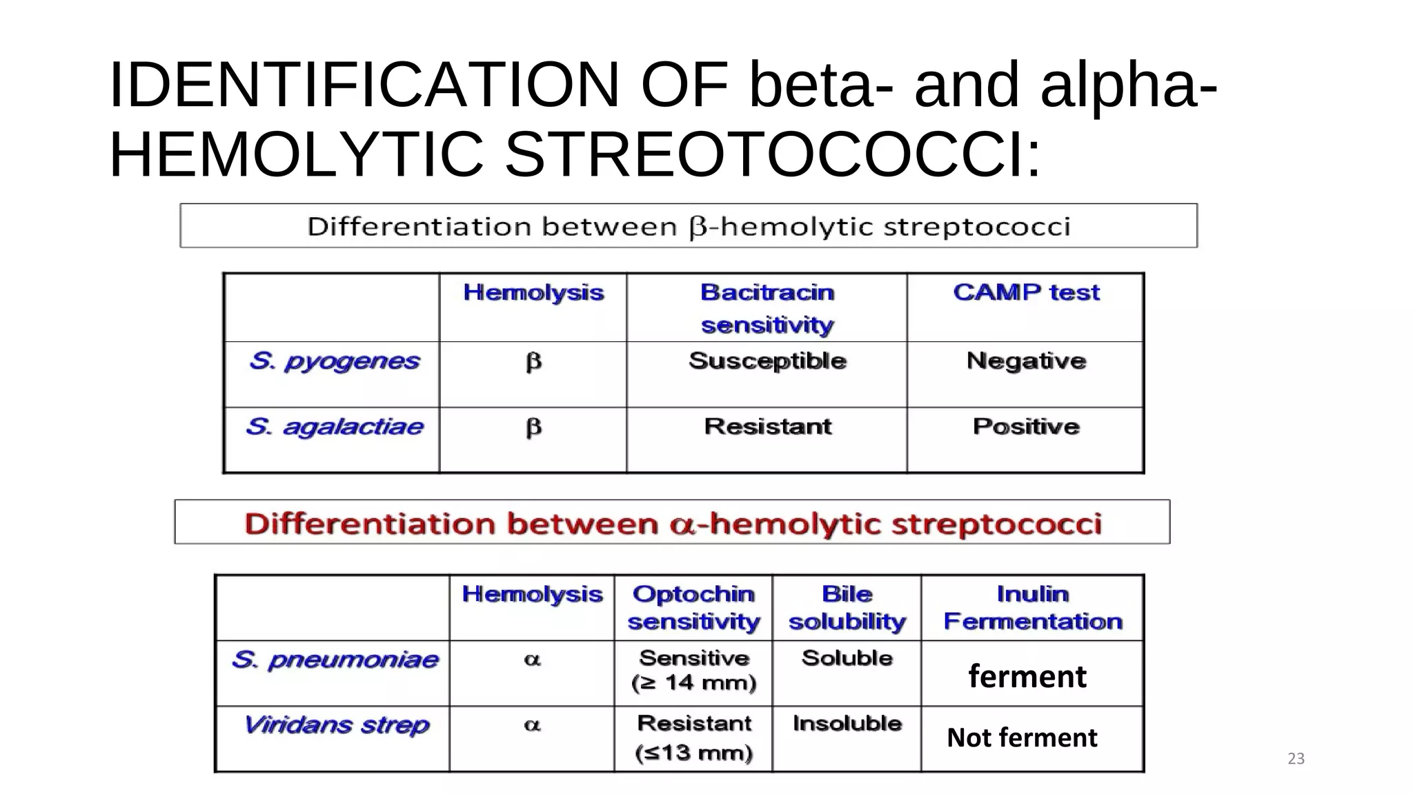 An Overview of Streptococcal Infections | PPT