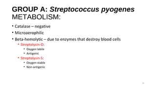 Streptococci Group A